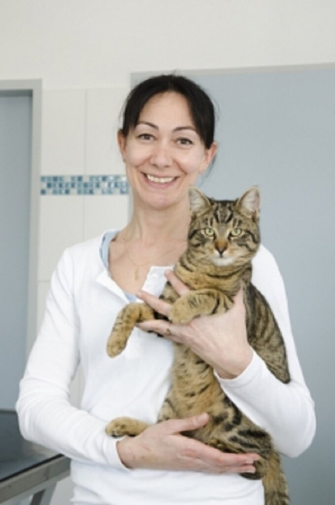 Veteriner klinikleri Tierärztin Dr. Ruth Budik, Aşağı Avusturya, foto