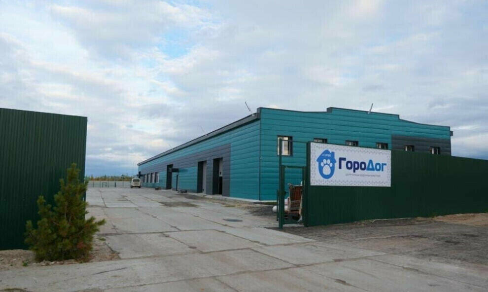 Hayvan barınakları, kulüpleri ve otelleri ГороДог, Novy Urengoy, foto