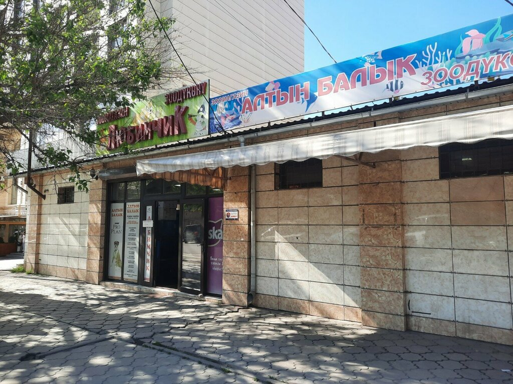 Petshop Altyn balyk, Bişkek, foto