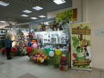 Цветочный кабанчик (praspiekt Budaŭnikoŭ No:11А), çiçekçiler  Vitebsk'ten