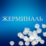 JERMiNAL (Moscow Region, Lubertsy City District, Malakhovka Township), kozmetik ve parfümeri firmaları  Moskova ve Moskovskaya oblastından