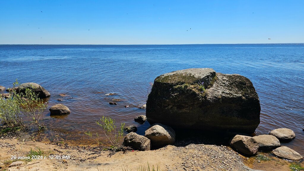 Dağ zirvesi Мыс Валунный, Pskovskaya oblastı, foto