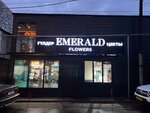 Emerald Flowers (Hamza Esenjanov kóshesi No:51), çiçekçiler  Almatı'dan