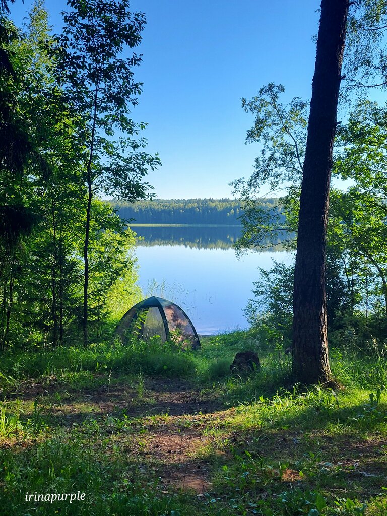 Piknik alanı Борое 2, Novgorodskaya oblastı, foto