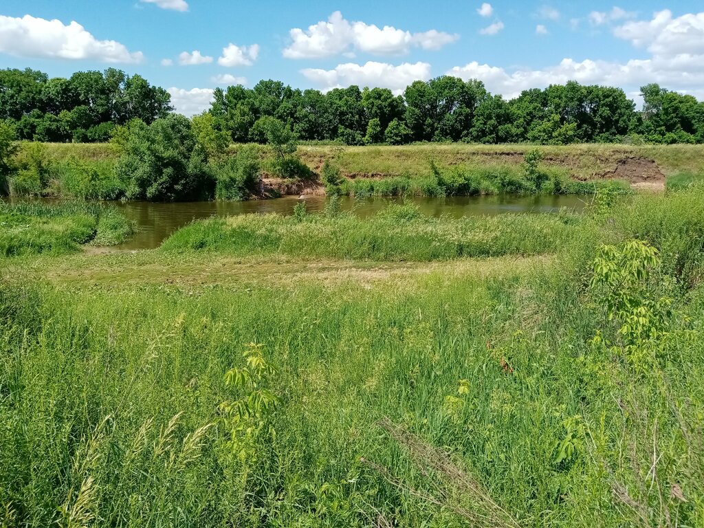 Plaj Пляж, Orenburgskaya oblastı, foto