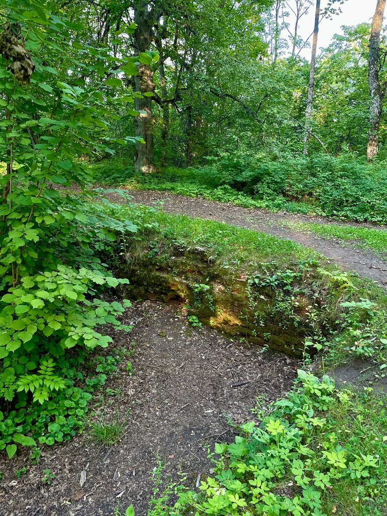 Turistik yerler Остатки фундамента Швейцарского домика, Krasnoye Selo, foto