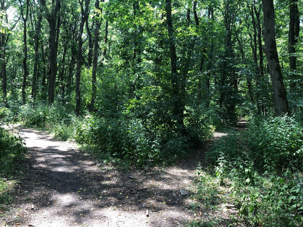Doğa Пещера, Stavropolski krayı, foto