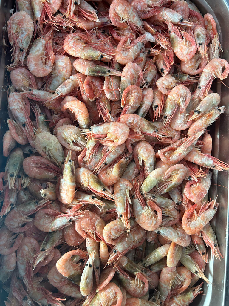 Balık ve deniz ürünleri Океан, Krasnodarski krayı, foto