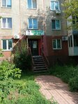 Цветная зебра (ulitsa Chkalova No:46), sanat okulları  Orenburg'dan