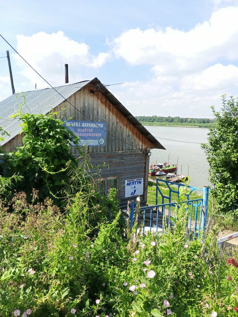 Limanlar Нептун, Tomsk, foto