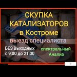 Катализатор 44 (Chernorechenskiy Drive No:22А), geri dönüşüm maddeleri  Kostroma'dan
