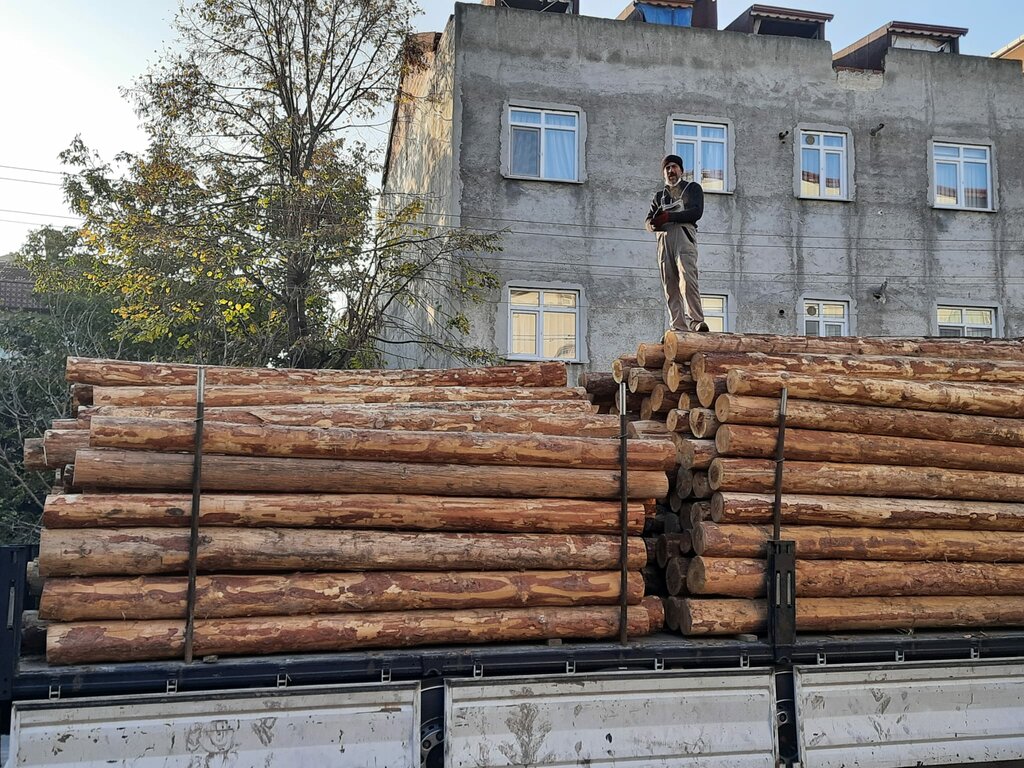 Kereste üretim ve satış şirketleri Sağlam Kereste, Gebze, foto