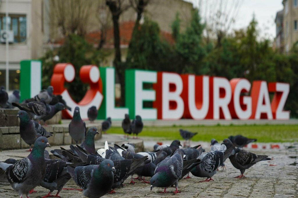 Mezarlıklar Lüleburgaz Belediyesi Şehir Mezarlığı, Lüleburgaz, foto