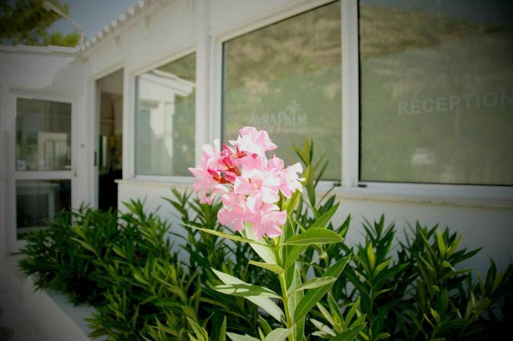 Otel Avra Palm, Girit, foto