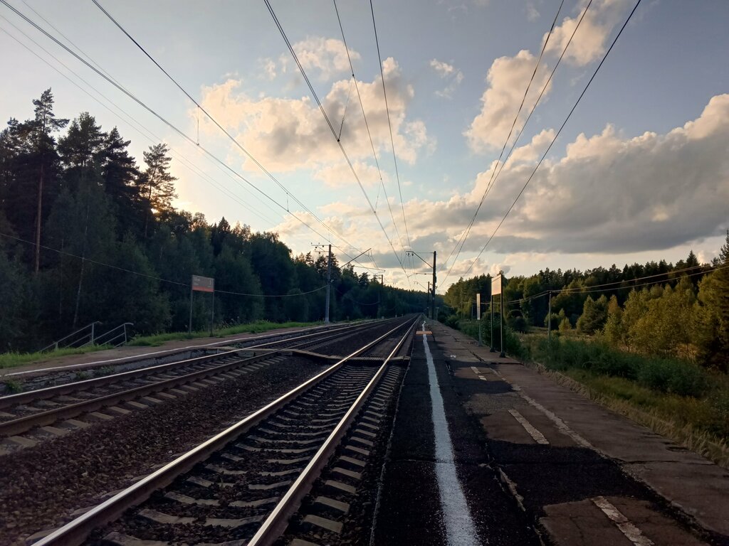 Tren istasyonu остановочный пункт Зеленцино, Vladimirskaya oblastı, foto