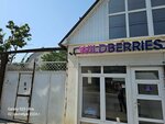 Wildberries (Georgiyevskaya ulitsa No:157, posyolok Goryachevodskiy), teslimat noktası  Stavropolski krayından