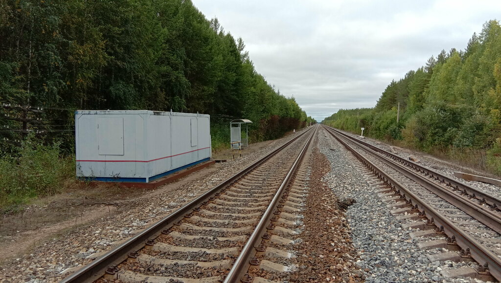 Tren istasyonu остановочный пункт 1165 километр, Arhangelskaya oblastı, foto