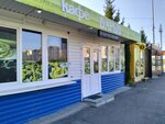 Barysh (ulitsa imeni Akademika N.N. Semyonova No:1), kafe  Saratov'dan