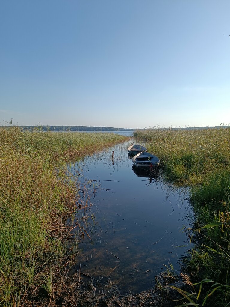 Plaj Пляж, Saint‑Petersburg ve Leningradskaya oblastı, foto