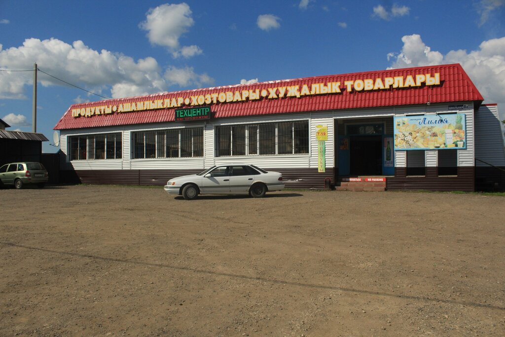 Elektrik ve benzinle çalışan aletler Техцентр, Tataristan, foto