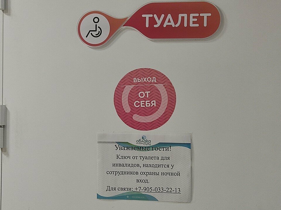 Tuvalet Туалет для инвалидов, Engels, foto