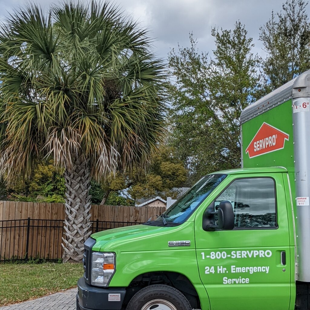 Halı yıkamacılar Servpro of Tampa Southeast, Tampa, foto