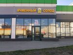 Ячменный солод (ulitsa Viktora Usa No:15/2), bira dükkanı  Novosibirsk'ten