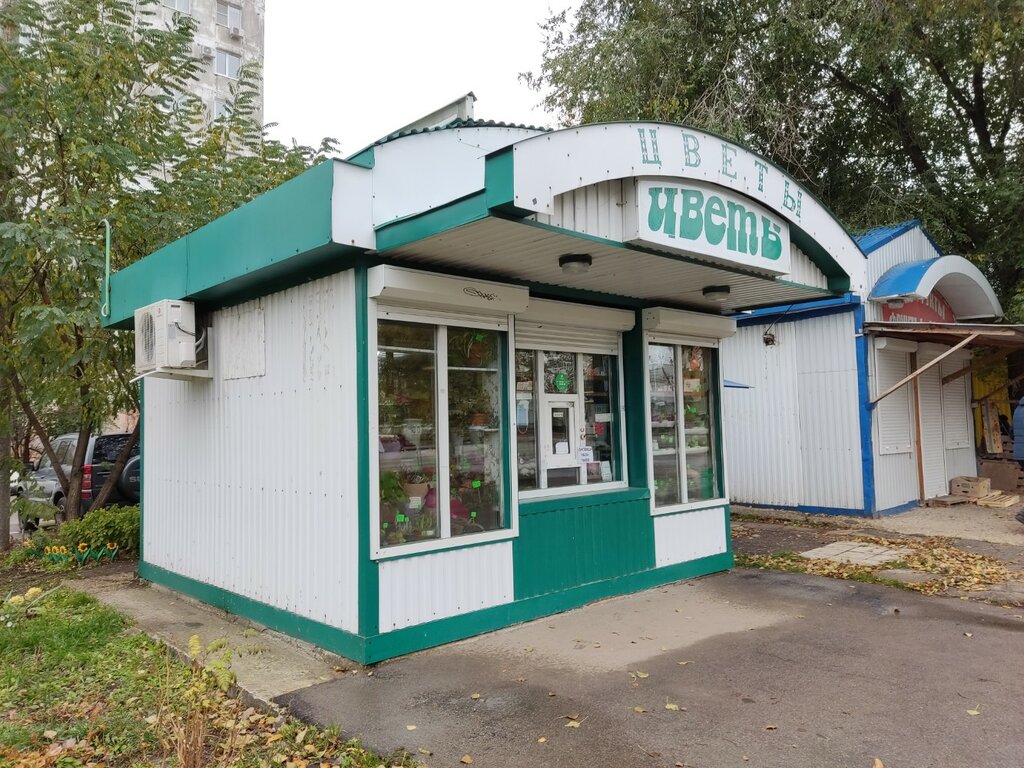 Çiçekçiler Tsvety, Novokuybyşevsk, foto