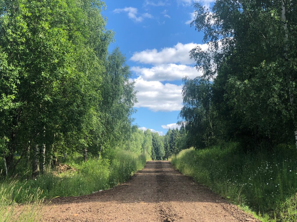 Arazi dizisi Dp Ivanovskoe, Moskova ve Moskovskaya oblastı, foto