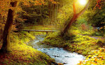 Spring, stream (St. Petersburg, Sestroretsk), pınar, çay  Sestroretsk'ten