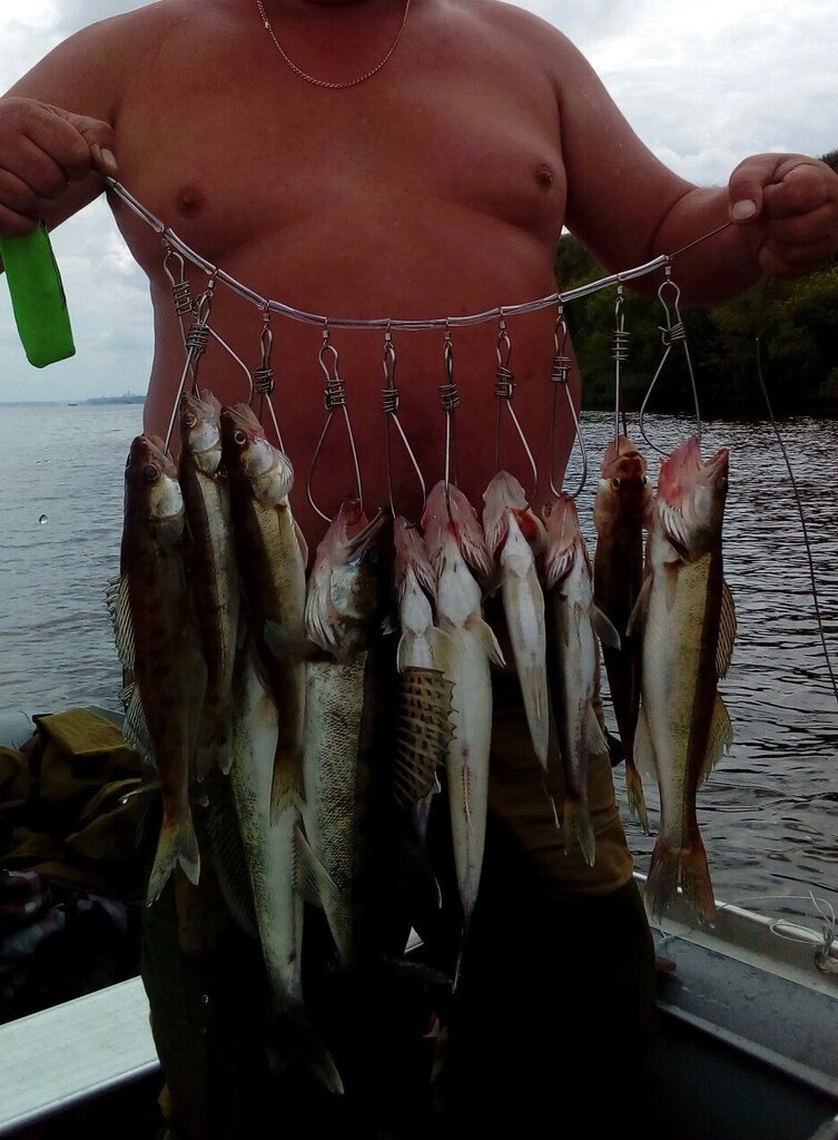 Balıkçılık ekipman firmaları Akulych, Oktiabrski, foto