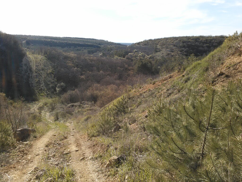 Orman лесной массив Кара-Тау, Kırım Cumhuriyeti, foto