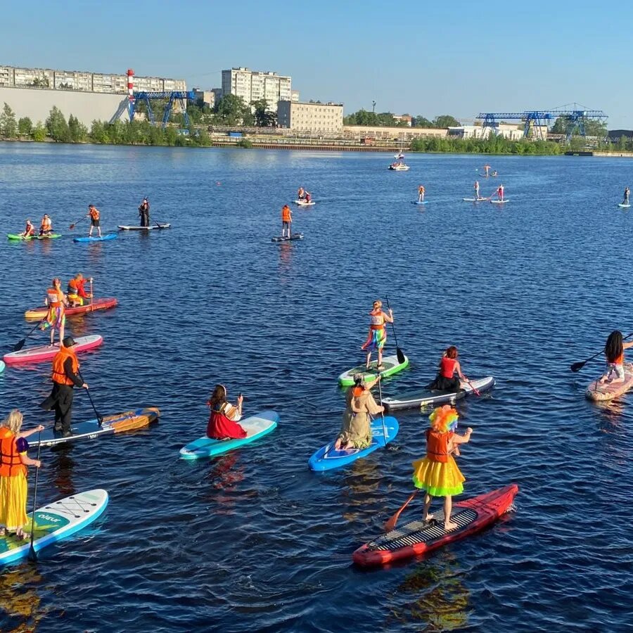 Kürek sörfü Riverman, Vologodskaya oblastı, foto