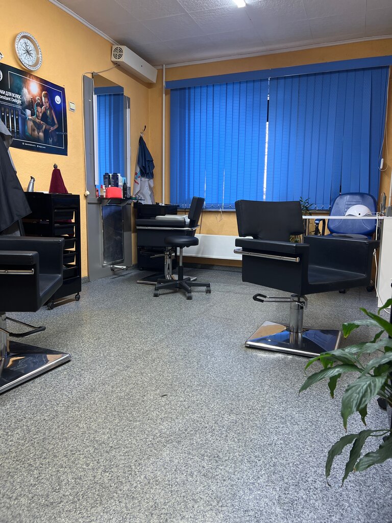 Kuaförler Viktoriya, Moskova ve Moskovskaya oblastı, foto