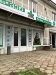 Intervet (Davit Agmanenebeli Avenue No:46), petshop  Kabuletti'den