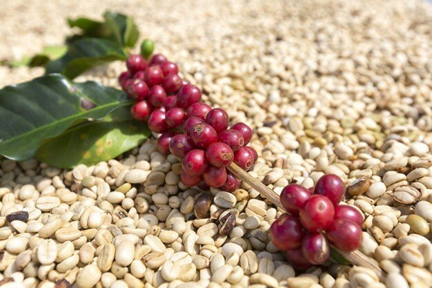 Kahve dükkanı Kahraman Dubai General Trading Company, Dubai, foto