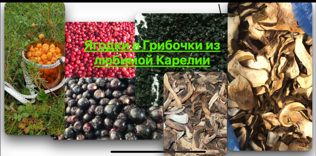 Toptan gıda mağazaları Karelian berries, Petrozavodsk, foto