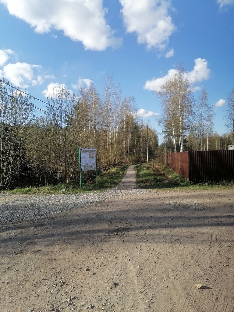 Orman учебный лесной питомник Лисинского лесного колледжа, Saint‑Petersburg ve Leningradskaya oblastı, foto