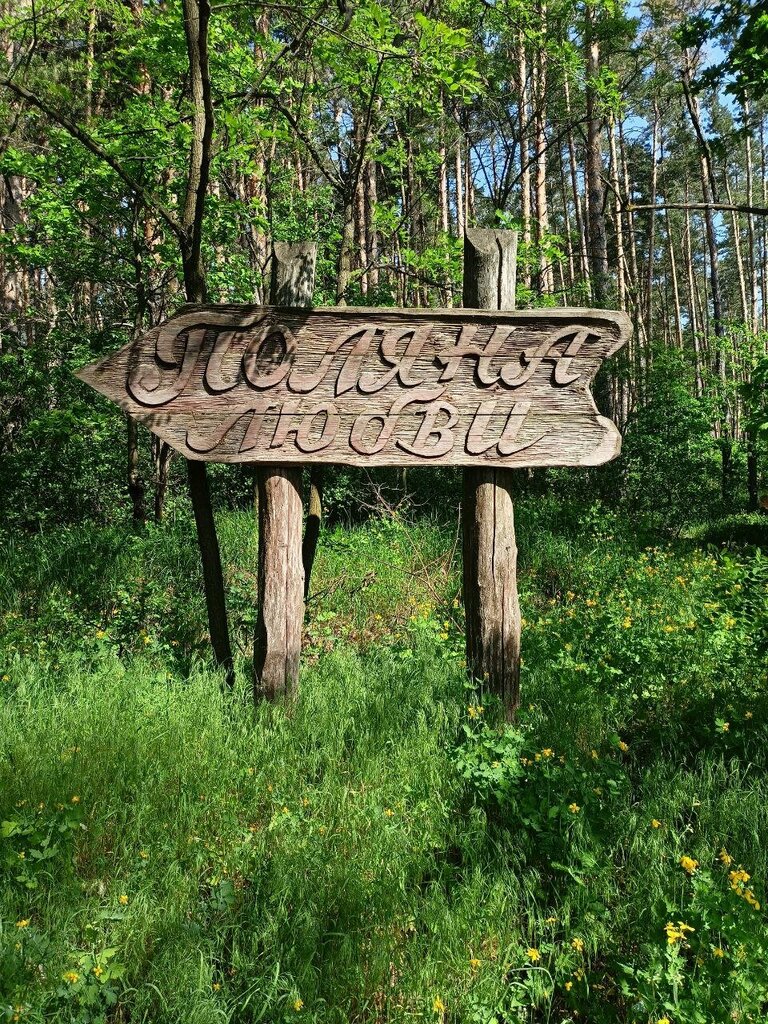 Orman Урочище Красиво, Belgorodskaya oblastı, foto
