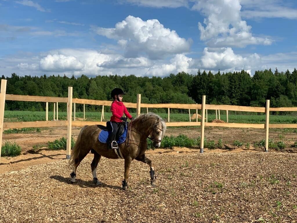 At ve binicilik kulüpleri Конные прогулки, Moskova ve Moskovskaya oblastı, foto