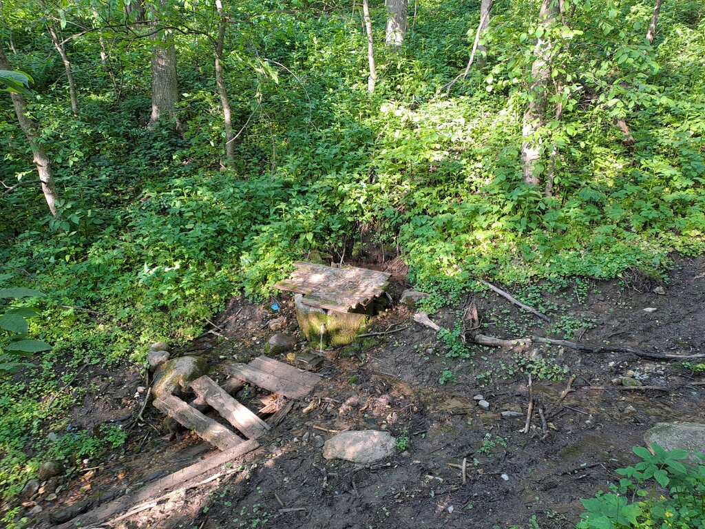 Pınar, çay Spring, stream, Moskova ve Moskovskaya oblastı, foto