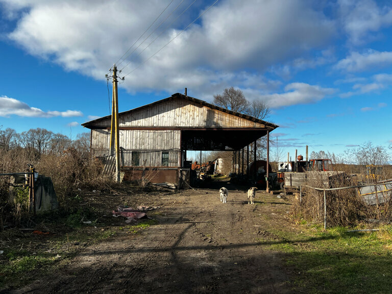 Ahşap endüstrisi Пилорама у Афанасича, Orlovskaya oblastı, foto