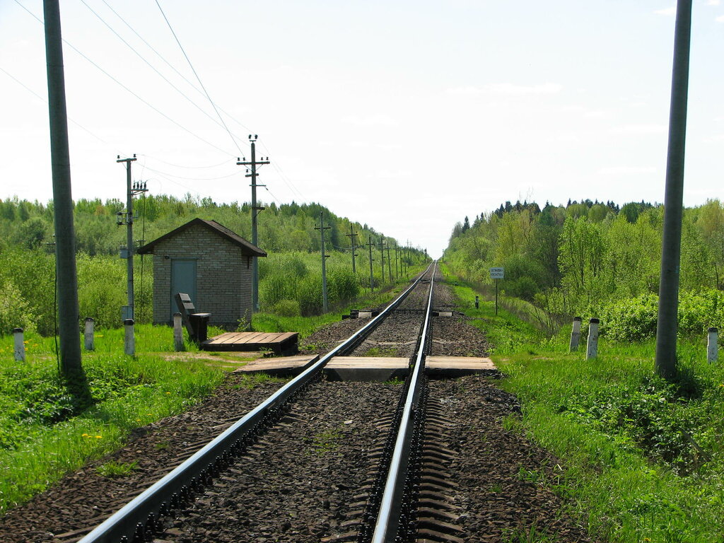 Tren istasyonu остановочный пункт Великое Село, Saint‑Petersburg ve Leningradskaya oblastı, foto