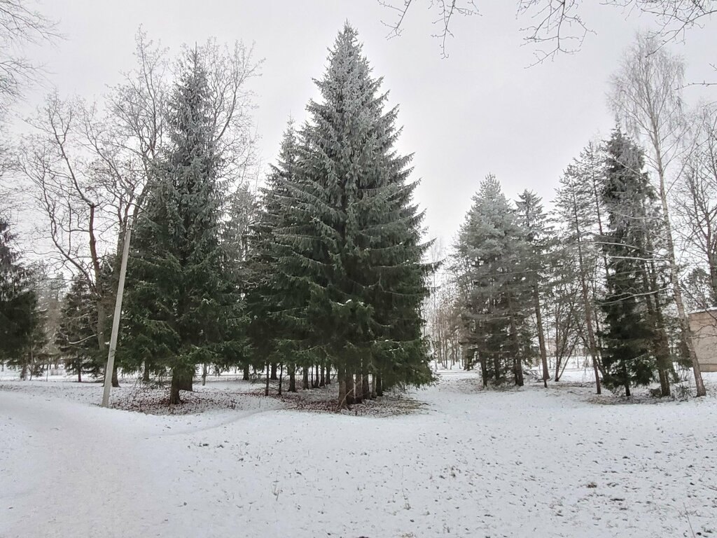 Kültür ve eğlence parkları парк Усадьбы Терпилицы, Saint‑Petersburg ve Leningradskaya oblastı, foto