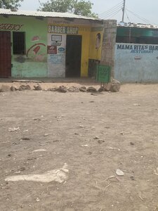 Dont Panic (Lusaka, John Laing), berberler  Lusaka'dan