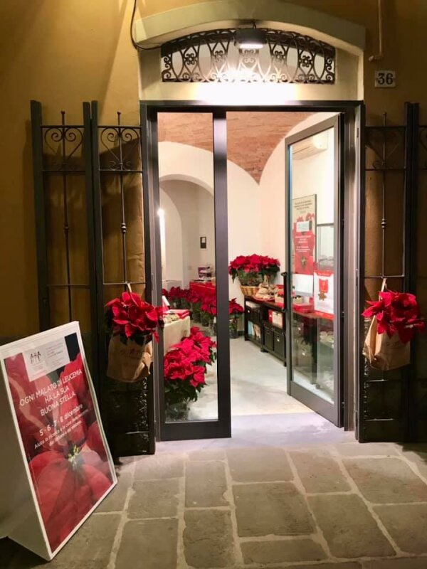 Sivil toplum kuruluşları Ail La Spezia Francesca Lanzone - Associazione italiana contro le leucemie, La Spezia, foto