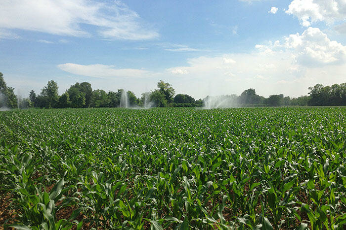 Bahçe ekipmanları ve teknolojileri Irristar S. R. l, Friuli‑Venezia Giulia, foto