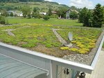 Lang Hans Gartenbau AG (Griensammlerstrasse No:8, Reinach), peyzaj tasarımı  Aargau'dan