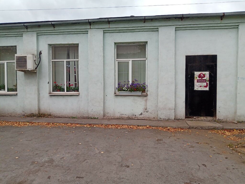 Sera ve bahçe ürünleri Pitomnik Tsvetochnaya Feya, Nijni Tagil, foto