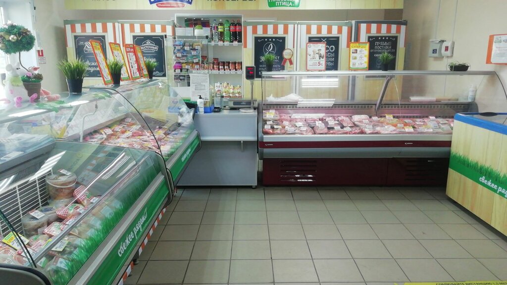 Kanatlı hayvan ürünleri ve yumurta Glazovskaya ptica, Udmurtiya, foto